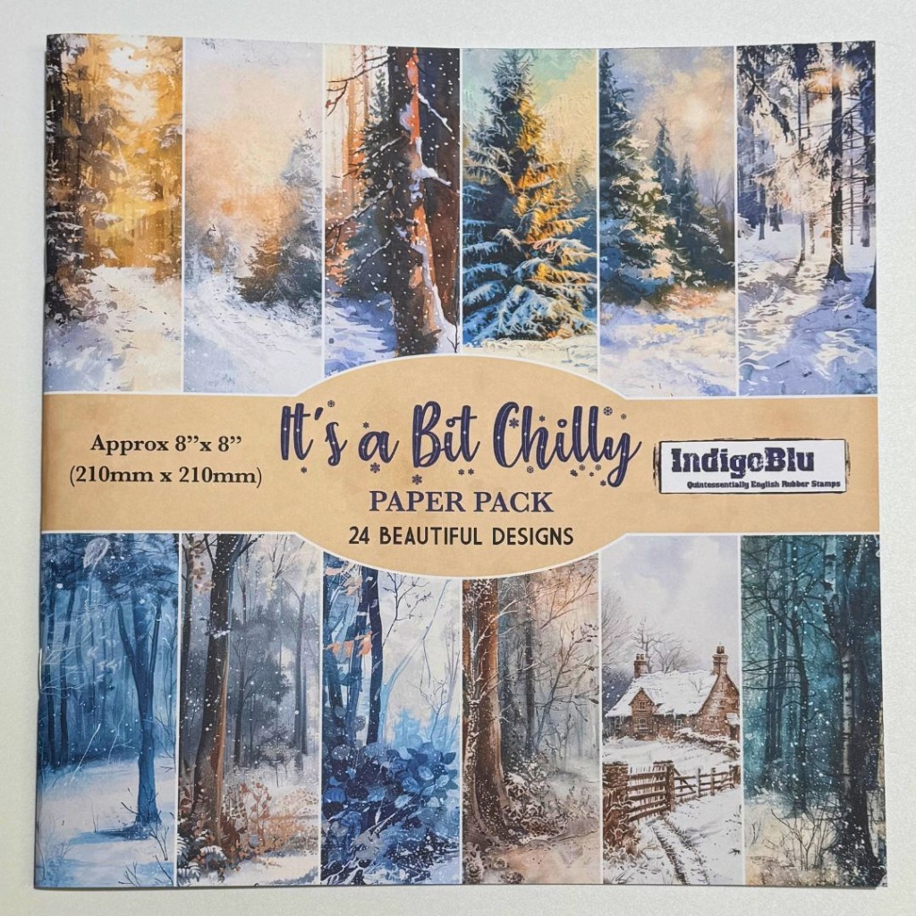 It's a Bit Chilly Paper Book - 8" x 8" - IndigoBlu